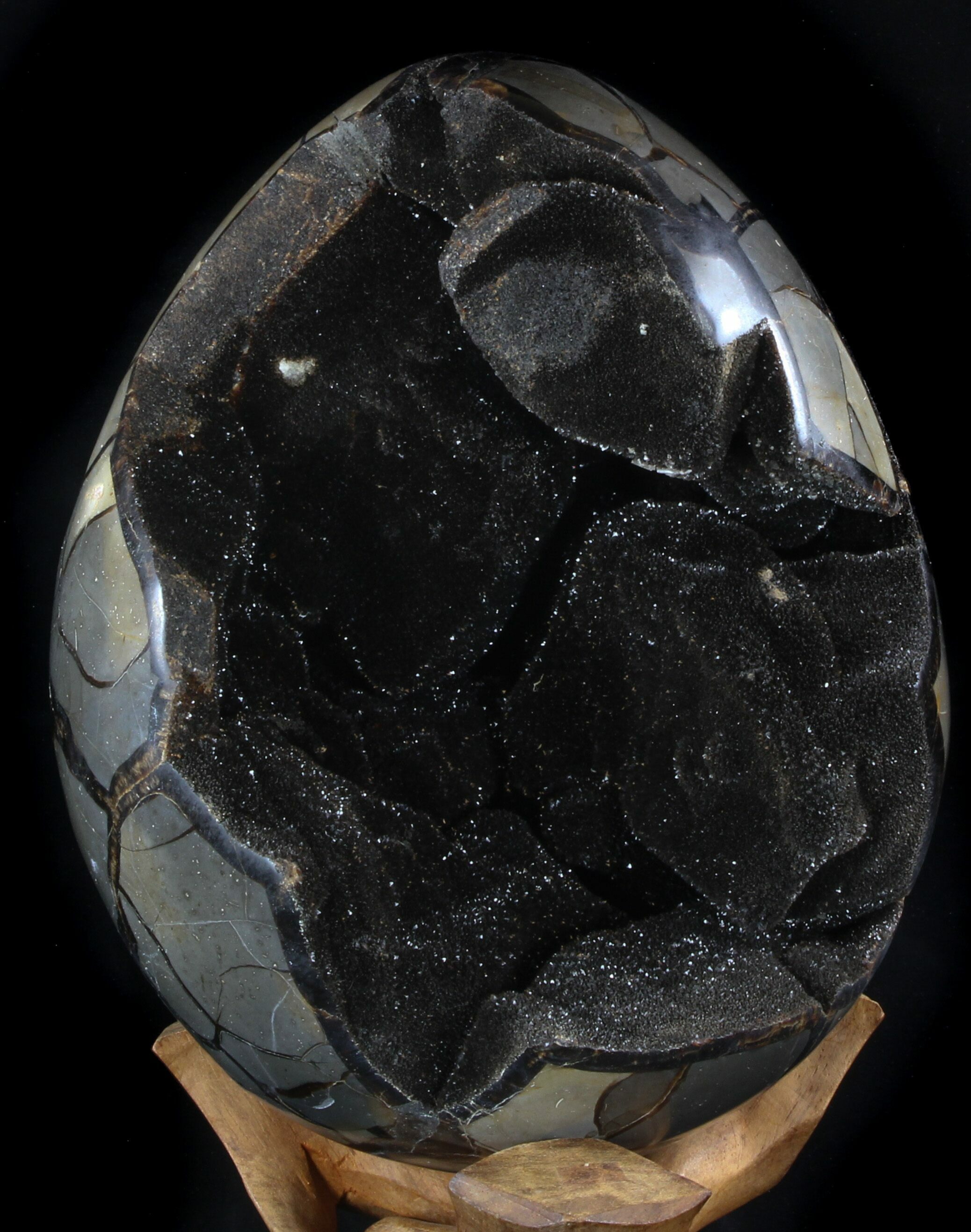 Septarian For Sale - FossilEra.com