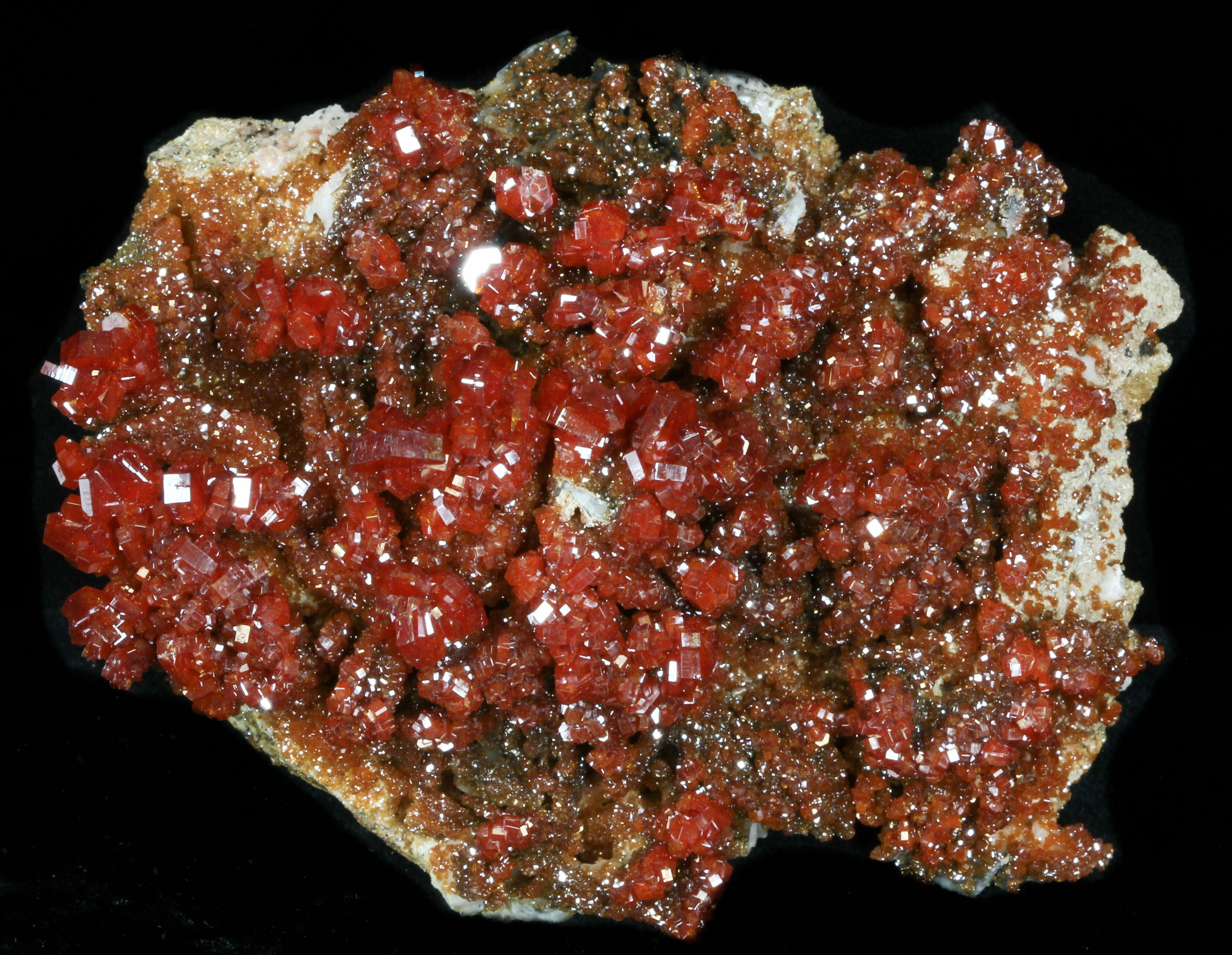 Brilliant 3.55" Vanadinite Crystal Cluster - Morocco For Sale (#36992 ...