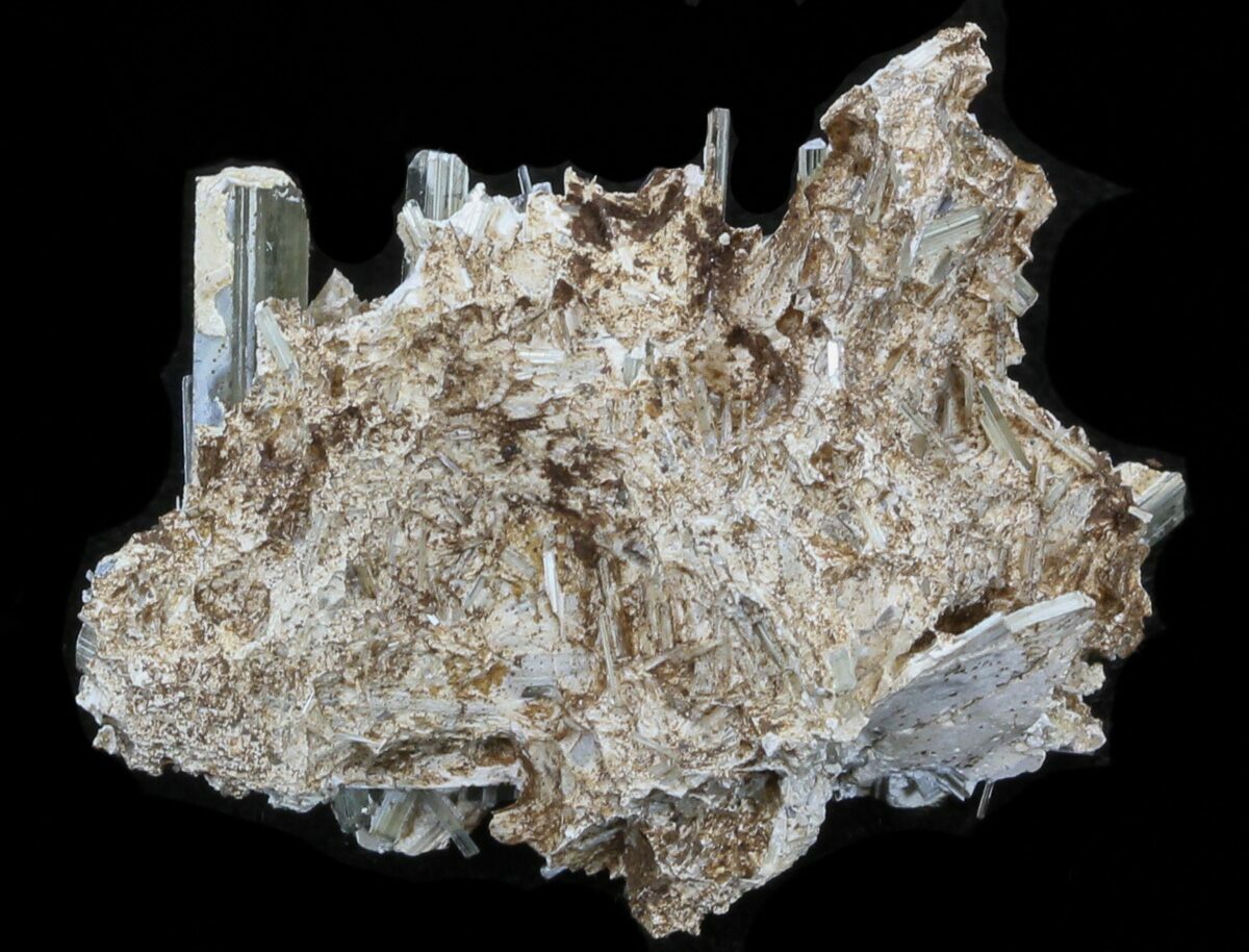 1.6" Olive Green Tremolite Cluster - New York For Sale (#37776 ...