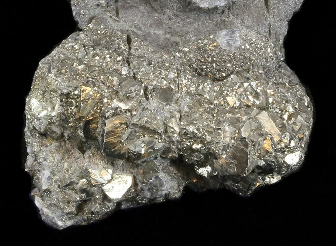 3.3" Natural Pyrite Specimen - Morocco For Sale (#38572) - FossilEra.com