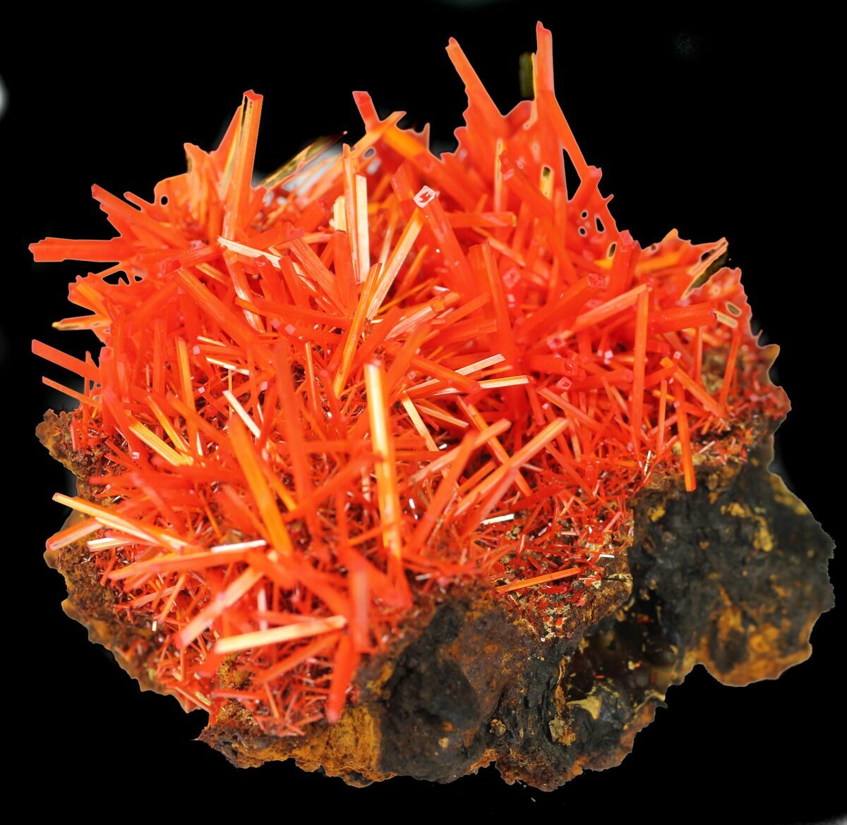 3" Wide Crocoite Specimen From Tasmania - Killer Specimen For Sale ...