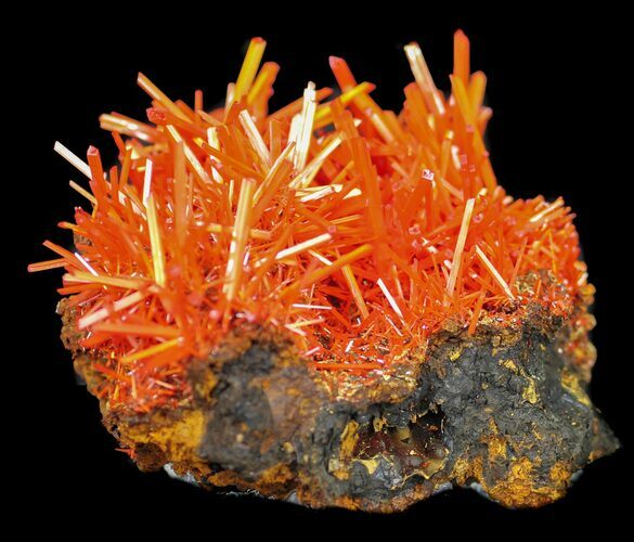 3" Wide Crocoite Specimen From Tasmania - Killer Specimen For Sale ...