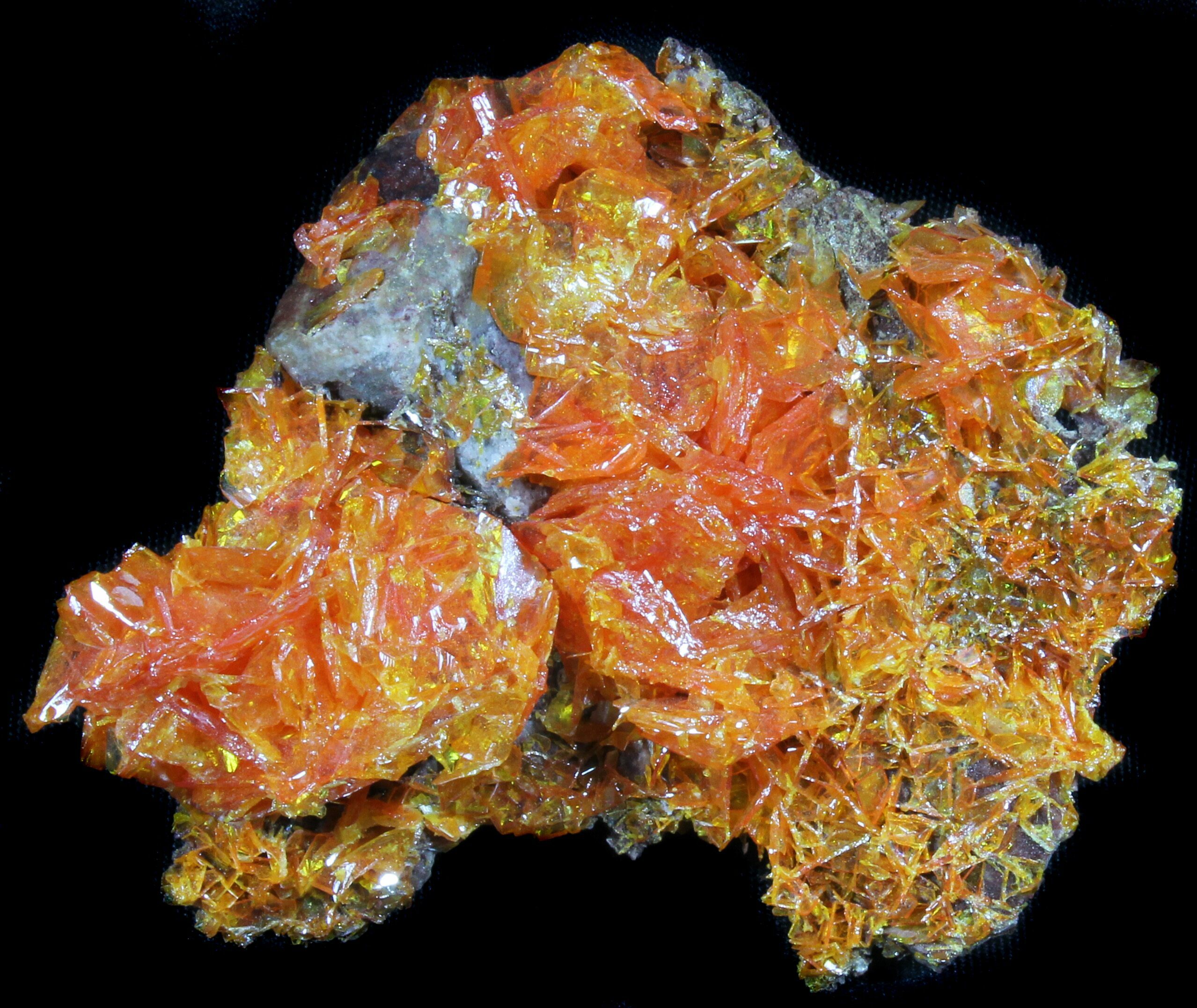 Wulfenite For Sale - FossilEra.com