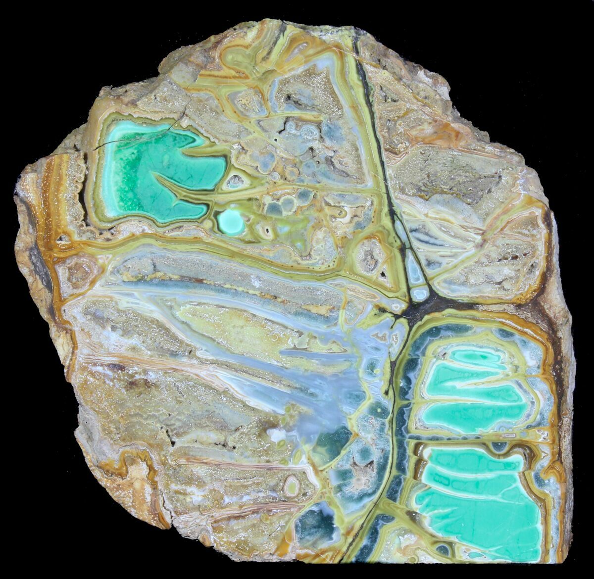 4.1" Slab Of Clay Canyon Variscite - Old Collection Stock For Sale ...