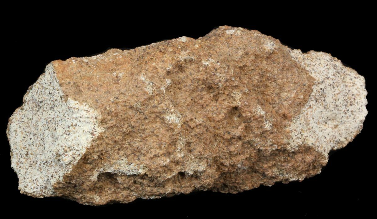 Fulgurites For Sale - FossilEra.com