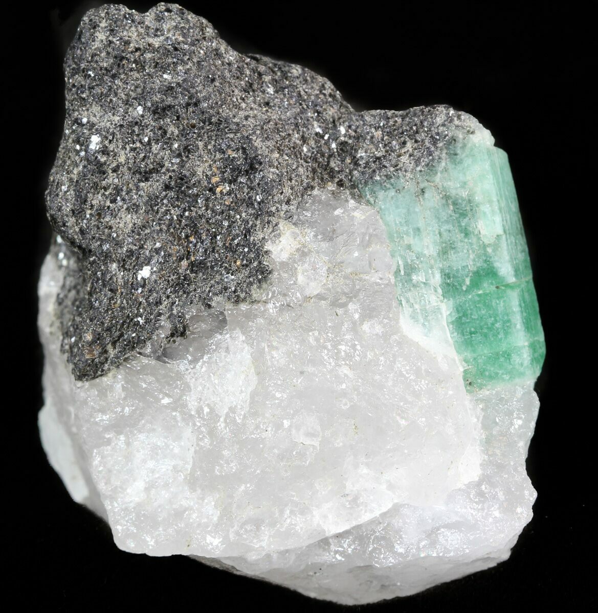 .75" Beryl (Var: Emerald) Crystal in Quartz & Biotite - Bahia, Brazil ...