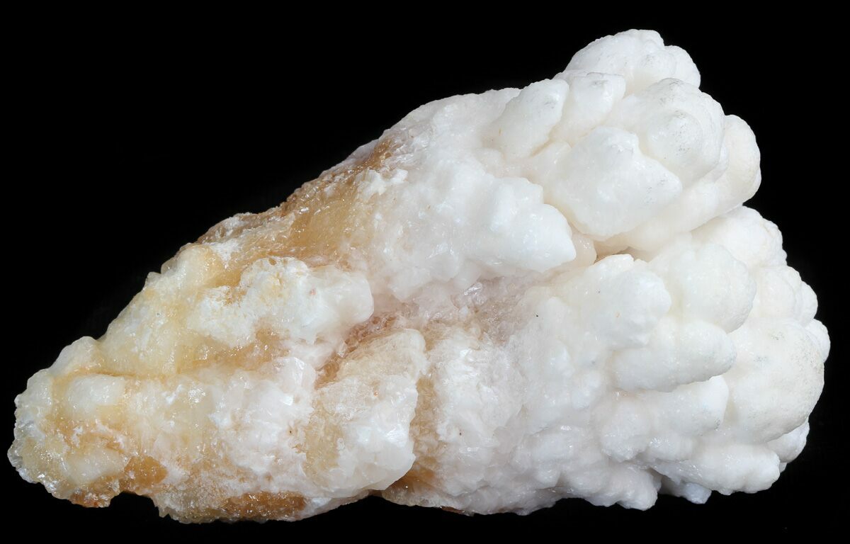 4.2" White Aragonite and Calcite Stalctite Formation - Fluorescent For ...