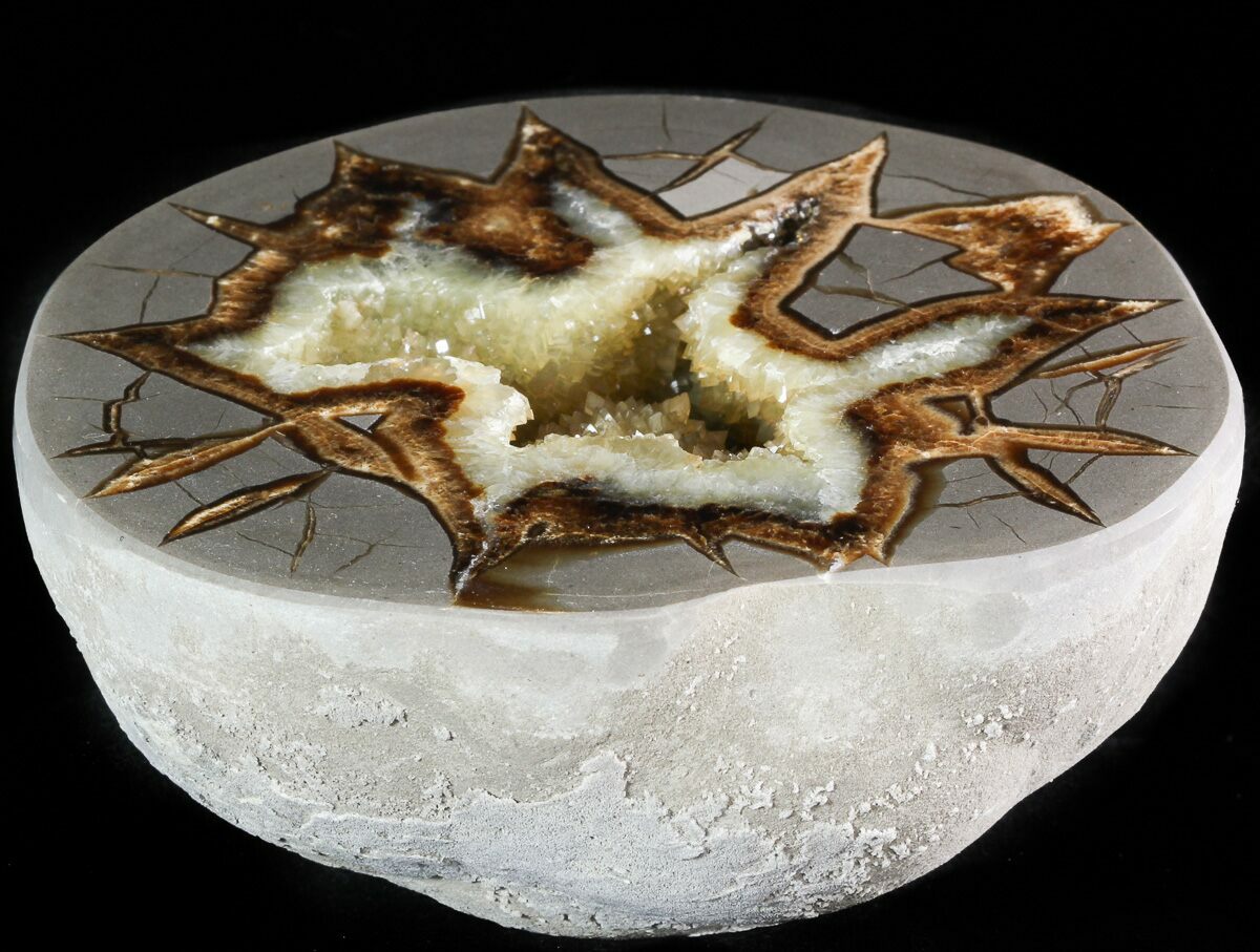 4.2" Beautiful Septarian Geode (Half) - Utah For Sale (#45914 ...