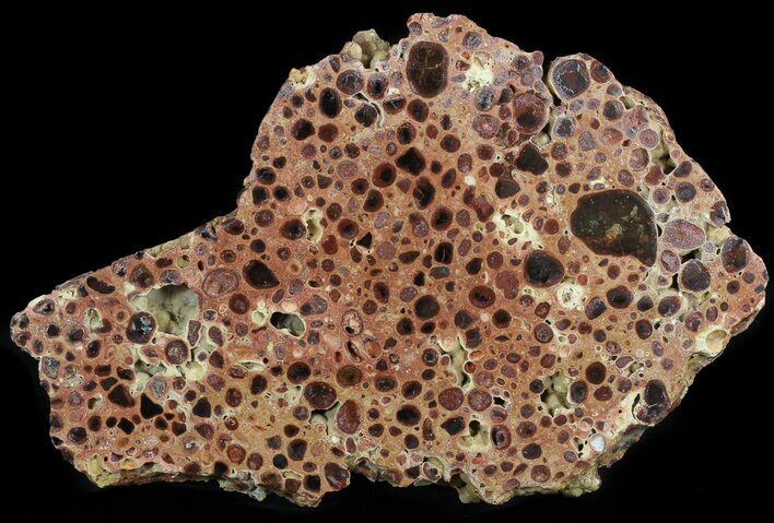 8.1" Polished Bauxite (Aluminum Ore) Slab - Australia For Sale (#46709 ...