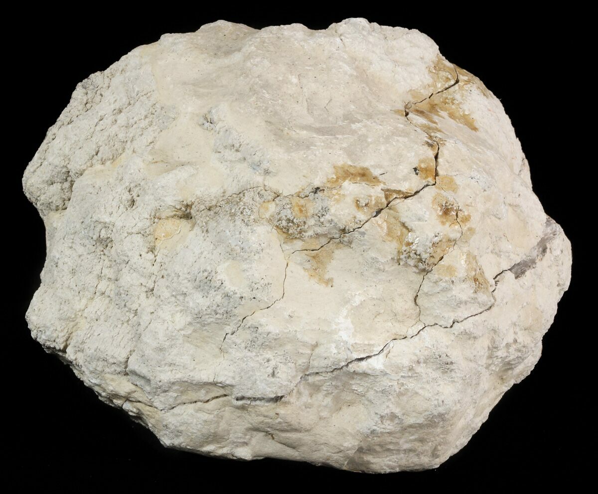 4.6" Keokuk Geode with Quartz - Missouri For Sale (#47112) - FossilEra.com