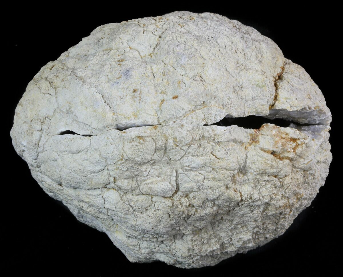 4.1" Keokuk Geode with Quartz - Missouri For Sale (#47113) - FossilEra.com