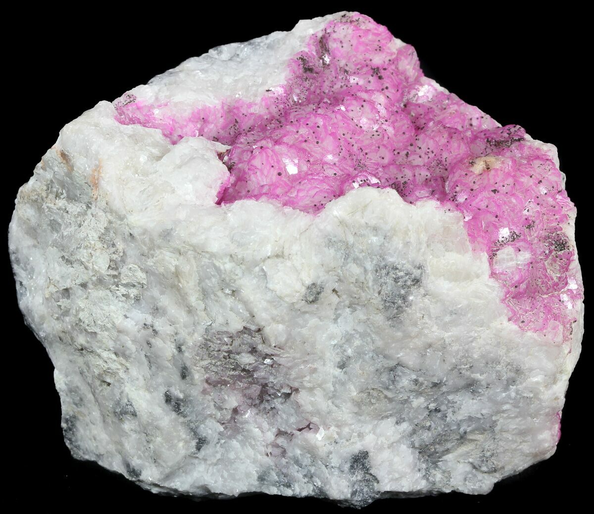 3.0" Cobaltoan Calcite Crystals on Calcite Matrix - Morocco For Sale ...