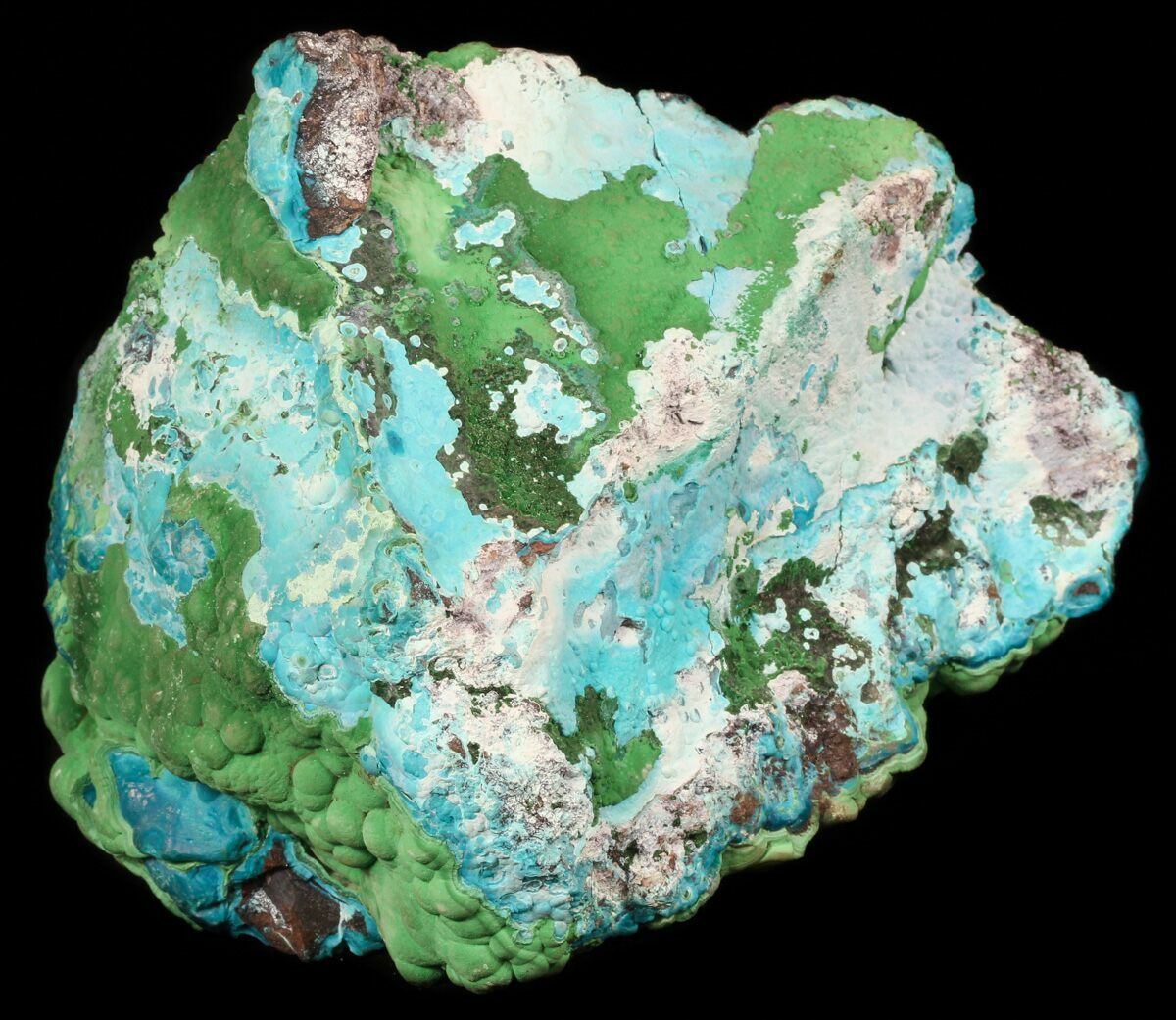7" Botryoidal Malachite & Blue Chrysocolla - Congo For Sale (#54995 ...