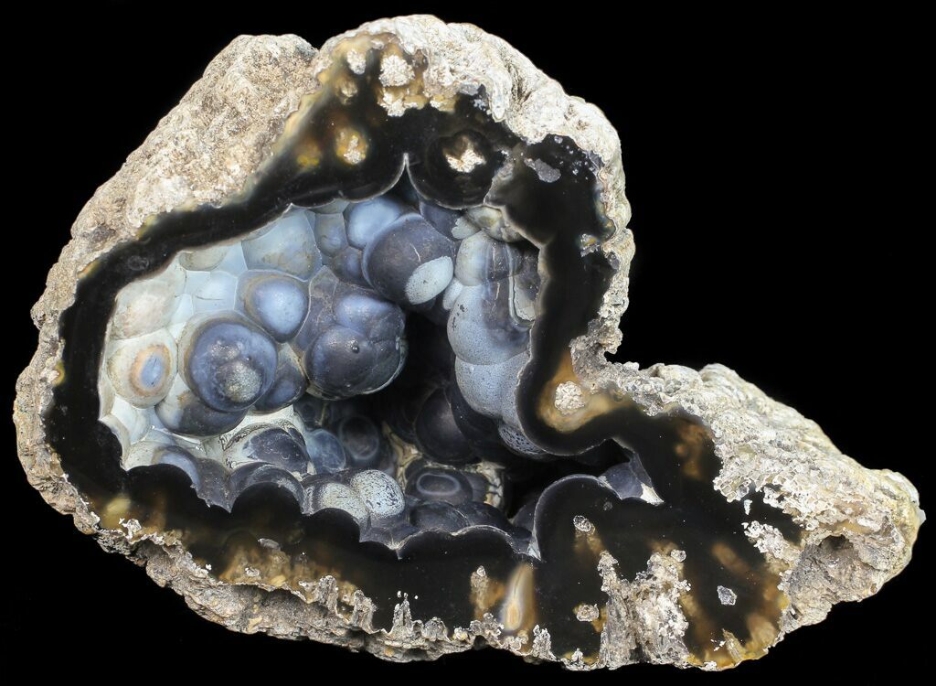 3.8" Beautiful, Agatized Fossil Coral Geode - Florida For Sale (#56088 ...