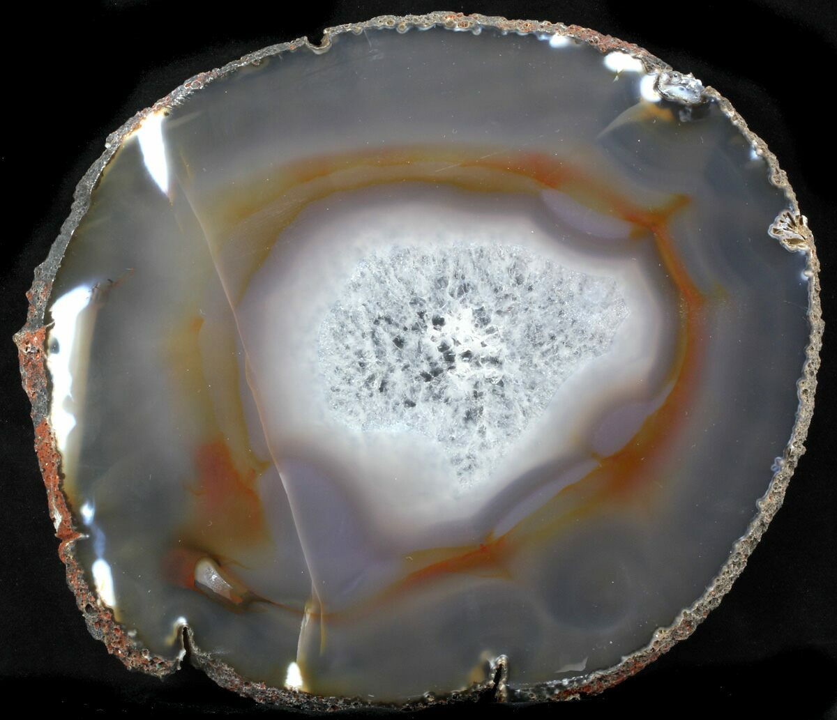 8.6" Polished Brazilian Agate Slice For Sale (#34420) - FossilEra.com