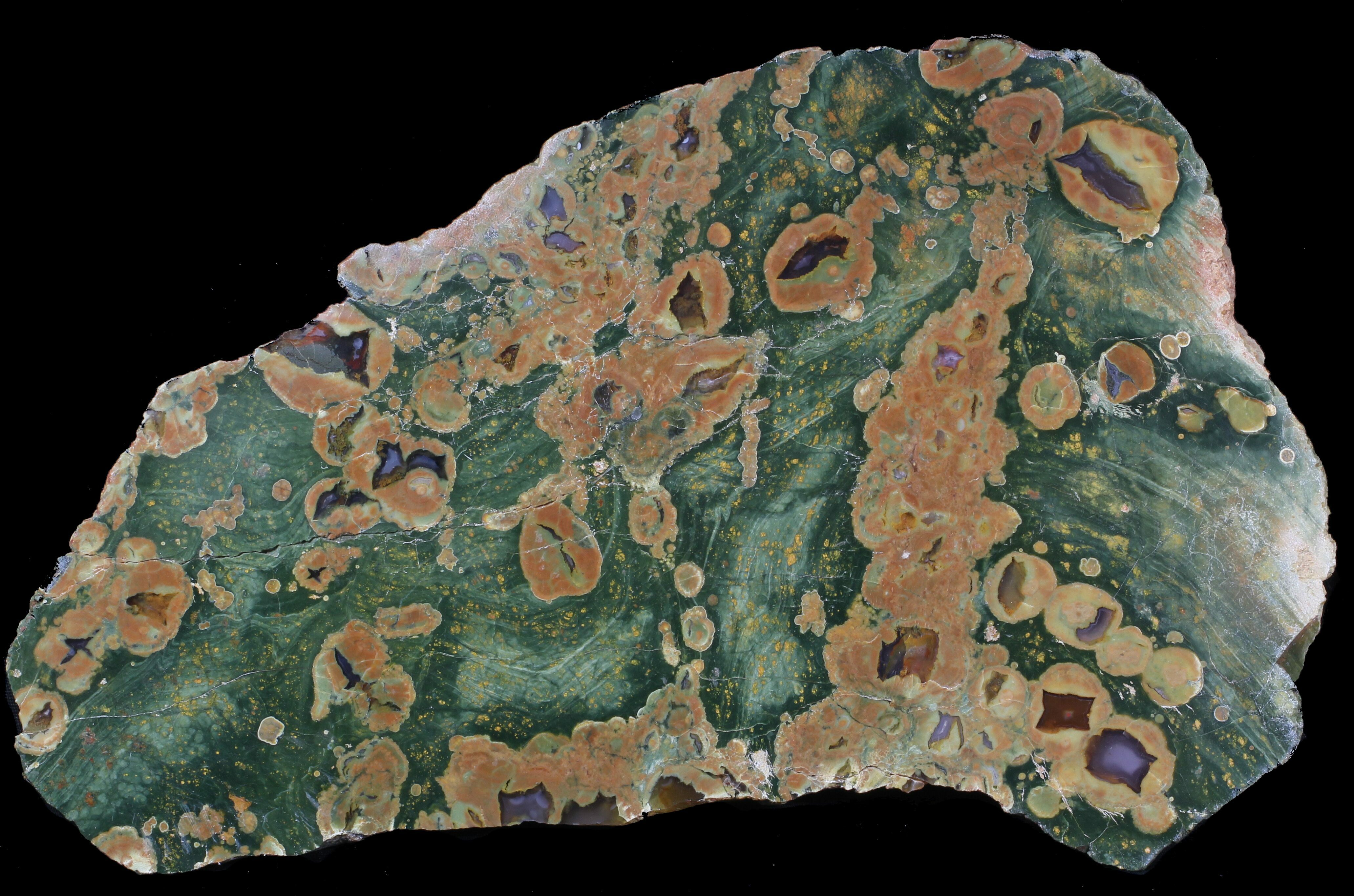 Polished Rhyolite (Rainforest Jasper) Slab - Australia For Sale (#62784 ...