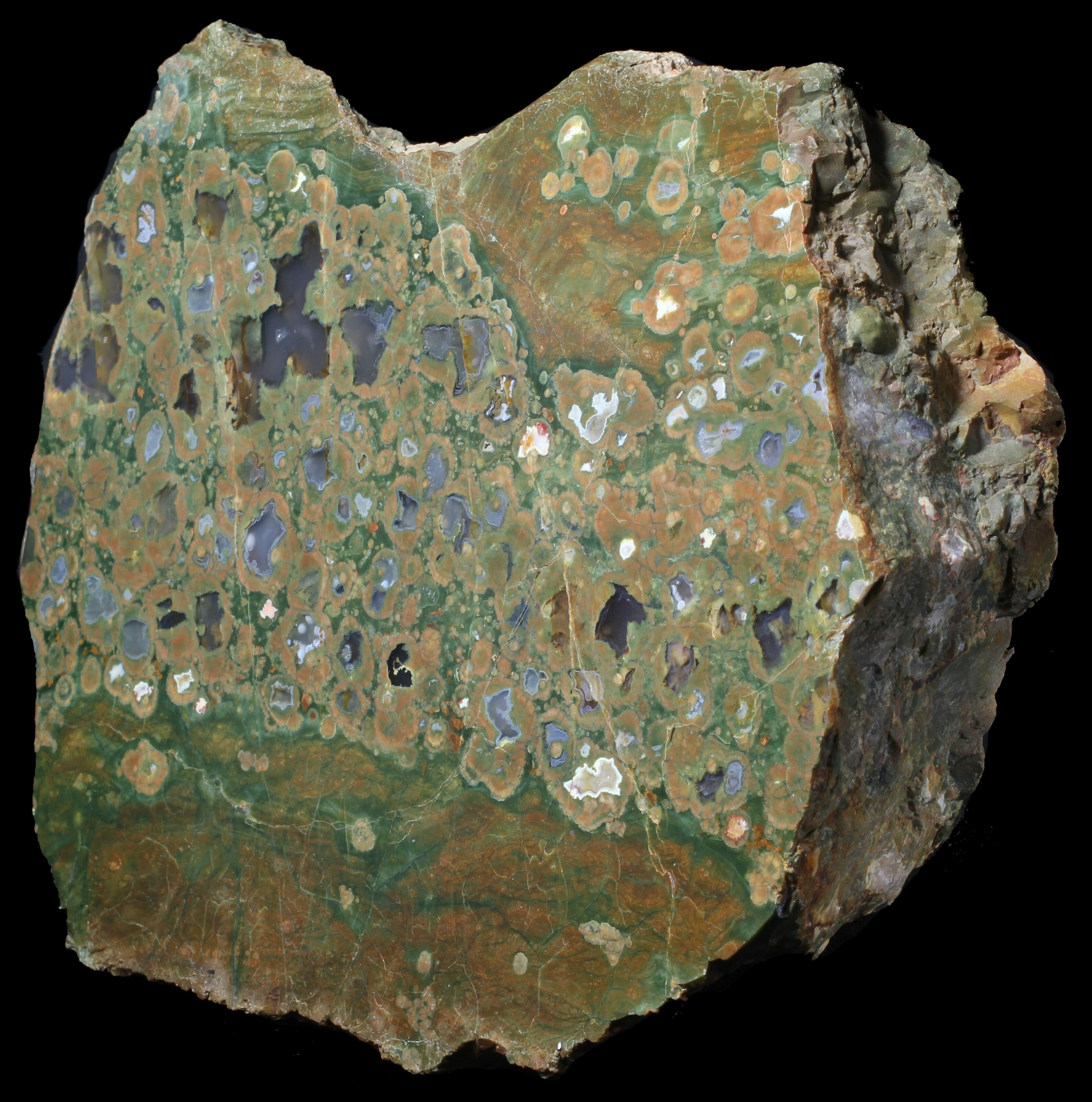Polished Rhyolite (Rainforest Jasper) Slab End - Australia For Sale ...