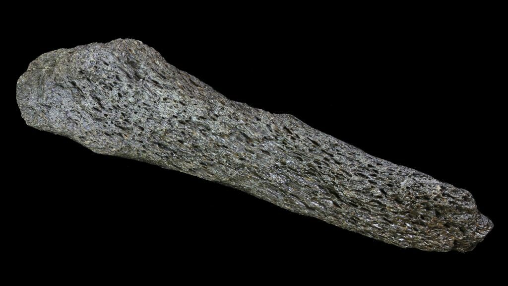 3.4" Fossil Whale Bone - Shark Tooth Marks (Megalodon?) For Sale ...