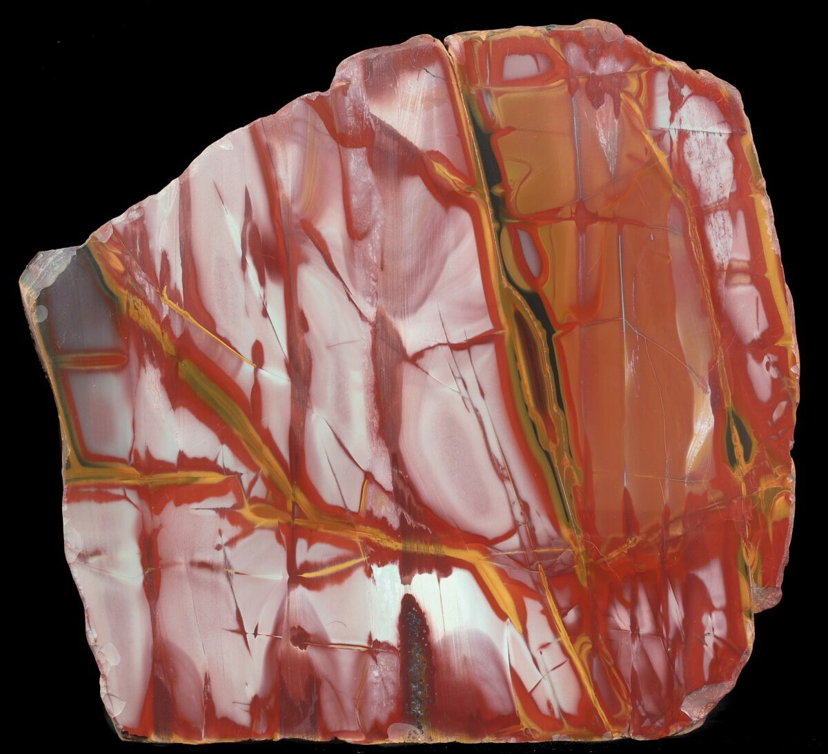 Magnificent, 11.4" Tall Polished Munjina Stone - Australia For Sale ...