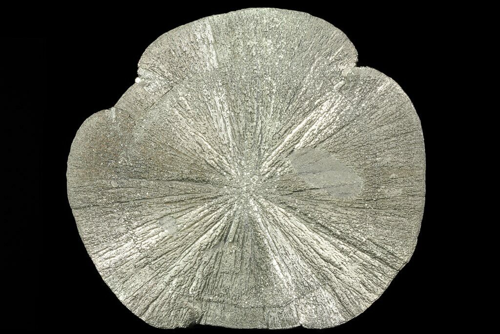 Pyrite Suns For Sale - FossilEra.com