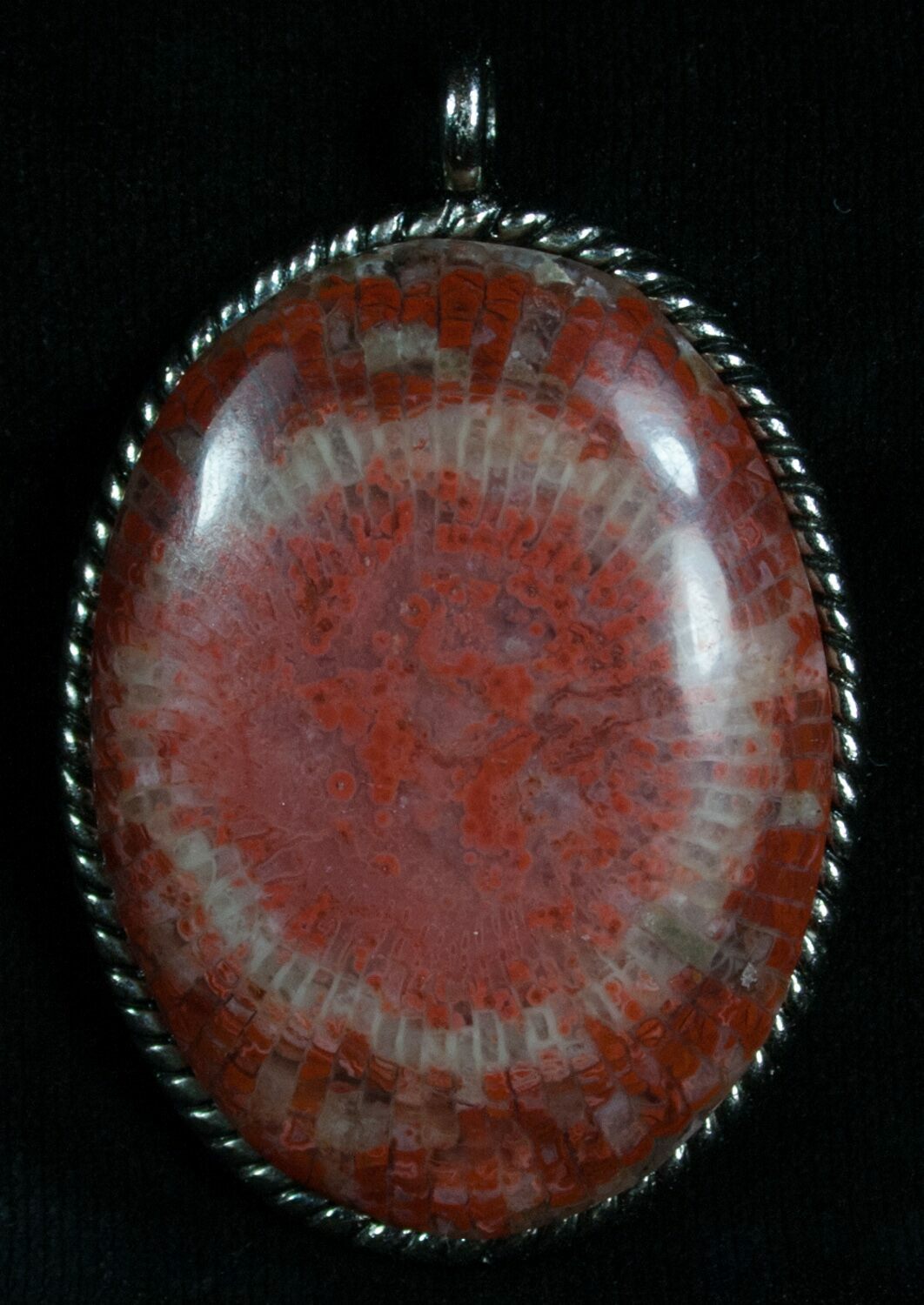Fossil Red Horn Coral Pendant - Utah For Sale (#5952) - FossilEra.com