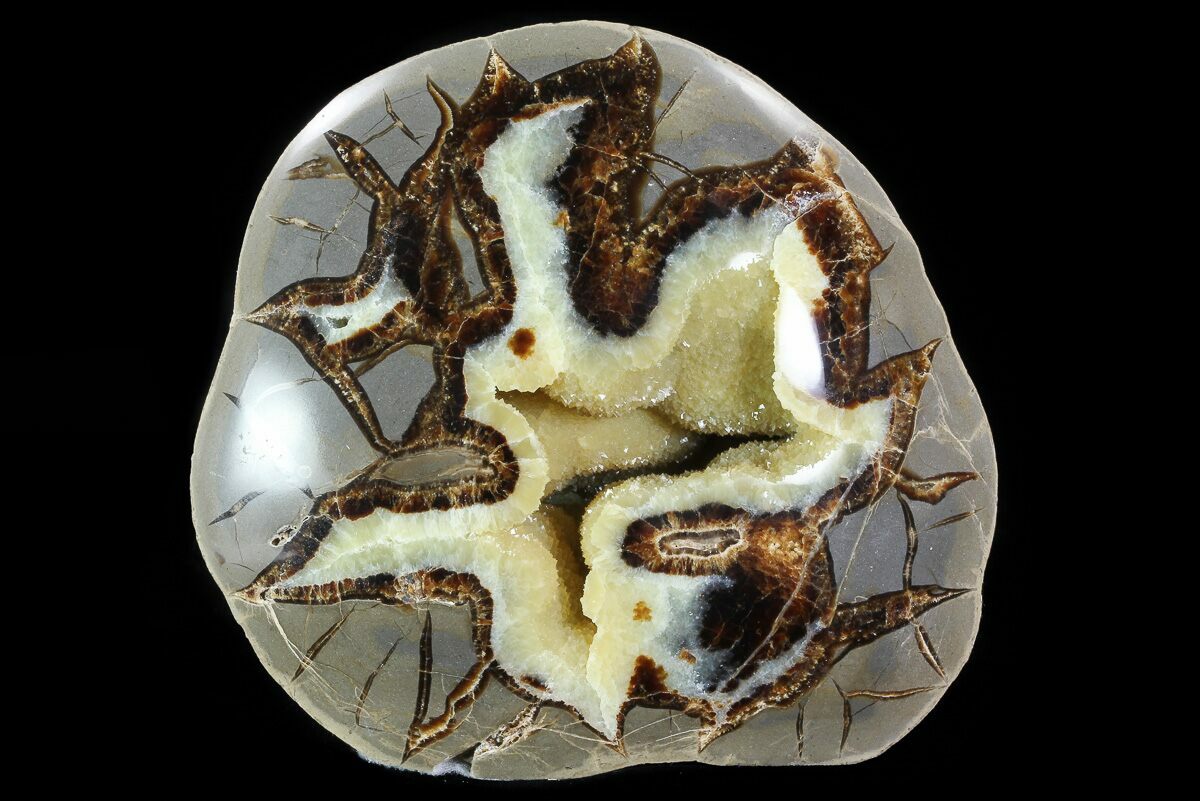 5" Beautiful, Crystal Filled Septarian Nodule - Utah For Sale (#80903 ...