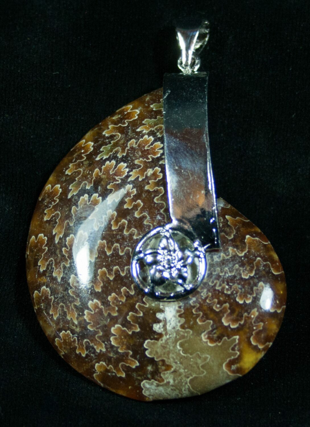 Large Ammonite Fossil Pendant - 2.3" Tall For Sale (#6337) - FossilEra.com