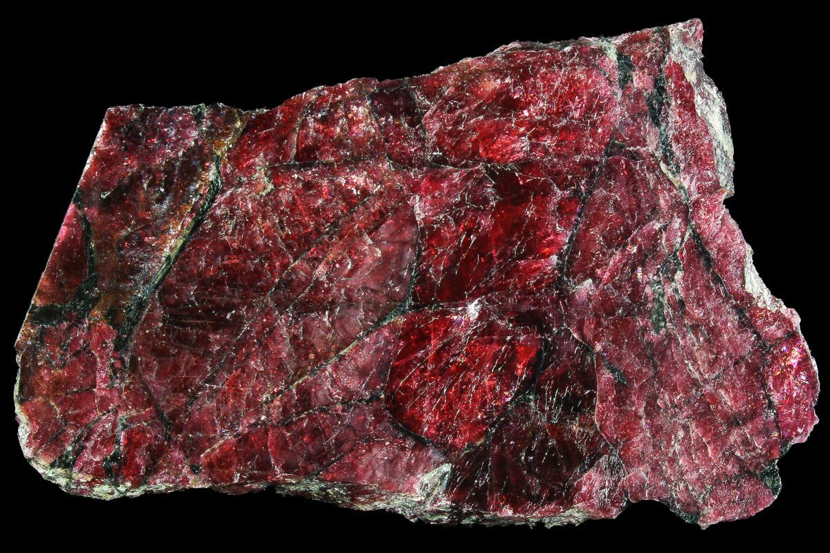 3.6" Brilliant Polished Eudialyte Slab - Russia For Sale (#92674 ...