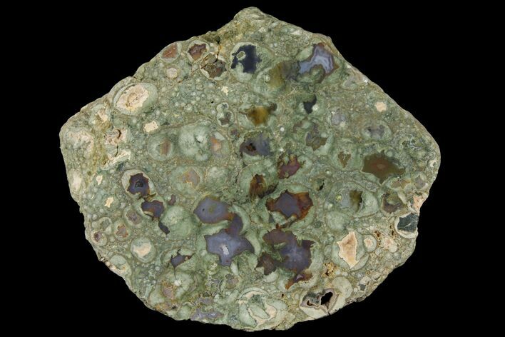 4.4" Polished Rhyolite (Rainforest Jasper) Section - Australia For Sale ...