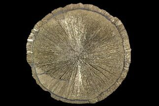 Pyrite Suns For Sale - FossilEra.com