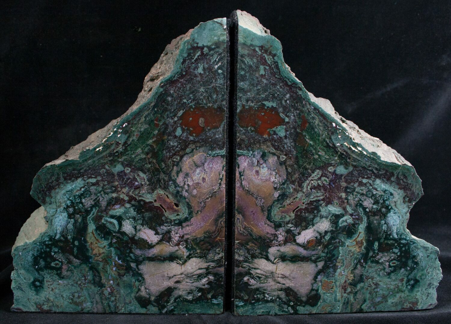 Brilliant Green Hampton Butte Petrified Wood Bookends For Sale (#7621 ...
