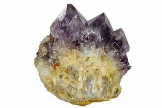4.4" Cactus Quartz (Amethyst) Crystals - Large Cluster For Sale (#47176 ...