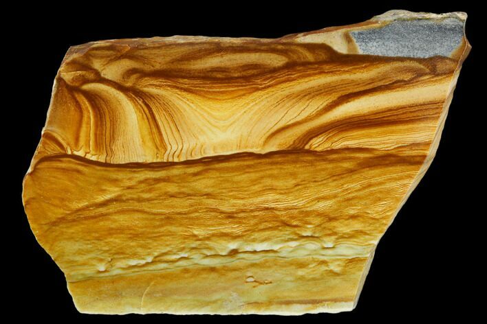 4" Polished Golden Picture Jasper Slab - Nevada For Sale (#129717 ...