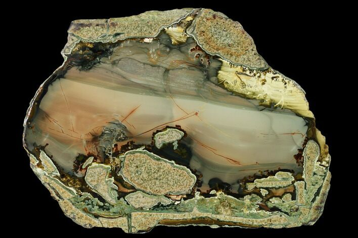 7.7" Polished Slab Of Blue Mountain Jasper - Oregon For Sale (#149923 ...