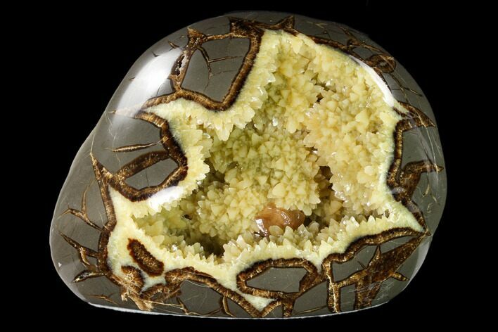 5.9" Polished, Crystal Filled Septarian Nodule - Utah For Sale (#149964 ...