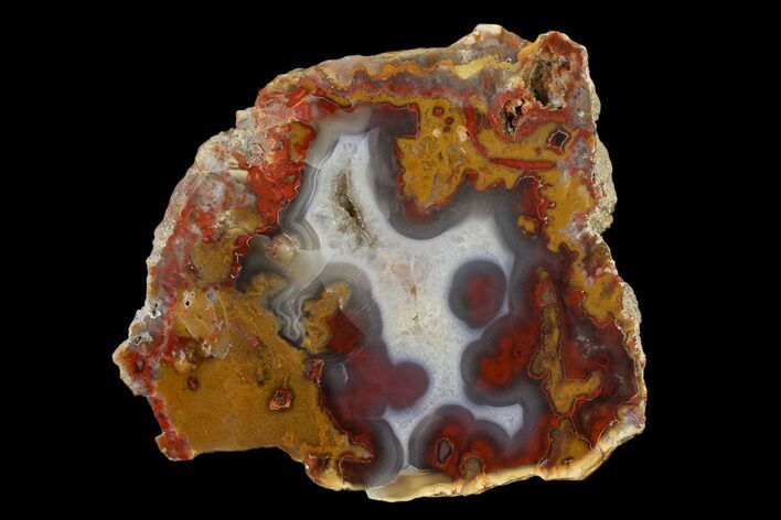 3.7" Polished Paint Rock Agate Slab - Tennessee For Sale (#150572 ...