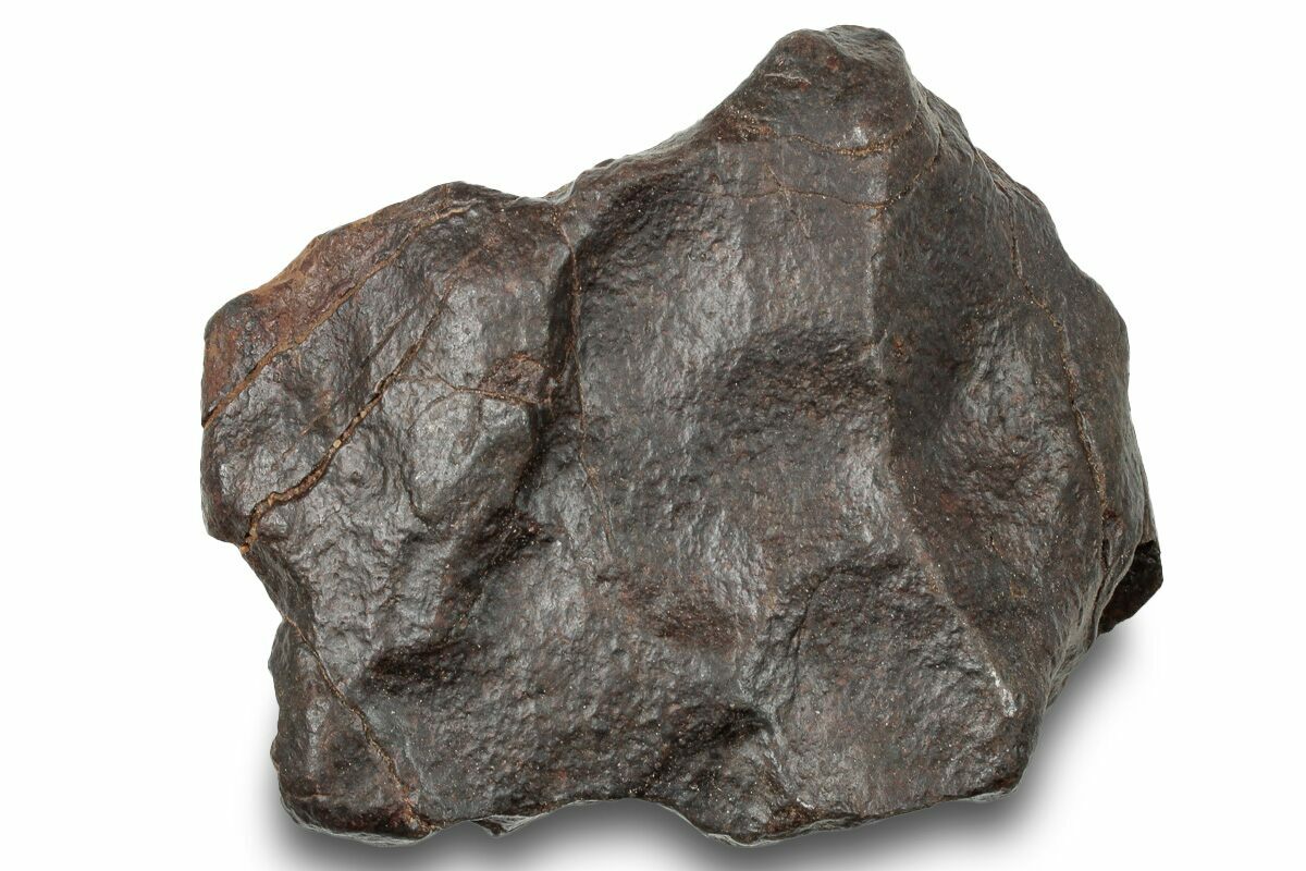 Meteorites For Sale - FossilEra.com
